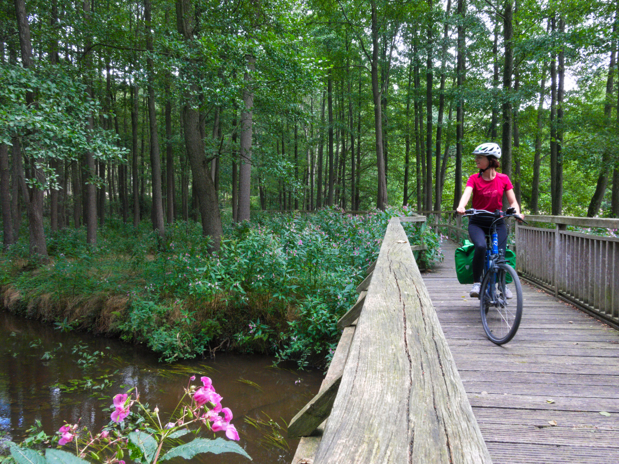Drei Regionen, eine Radreise durch den Nordwesten